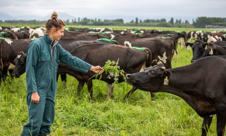 Dairy Farm Worker needed at Rideau Lakes Farms Inc. Elgin, ON - Apply ...
